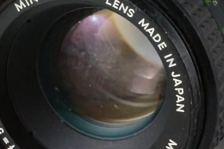What is Lens Fungus