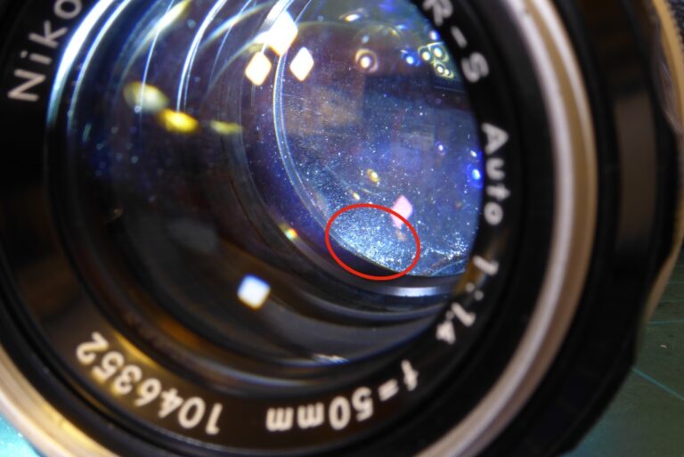 What is Lens Fungus