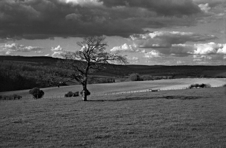 Nikon F-301 35mm Camera